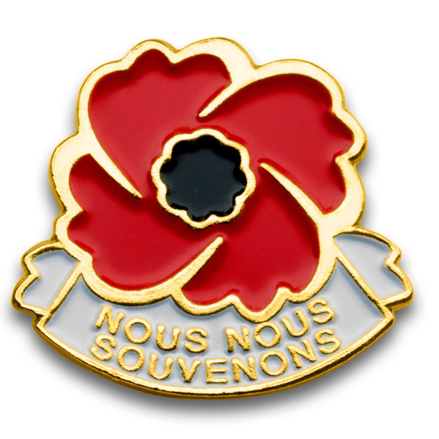 PINS