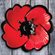 THE POPPY STORE - HOME PAGE