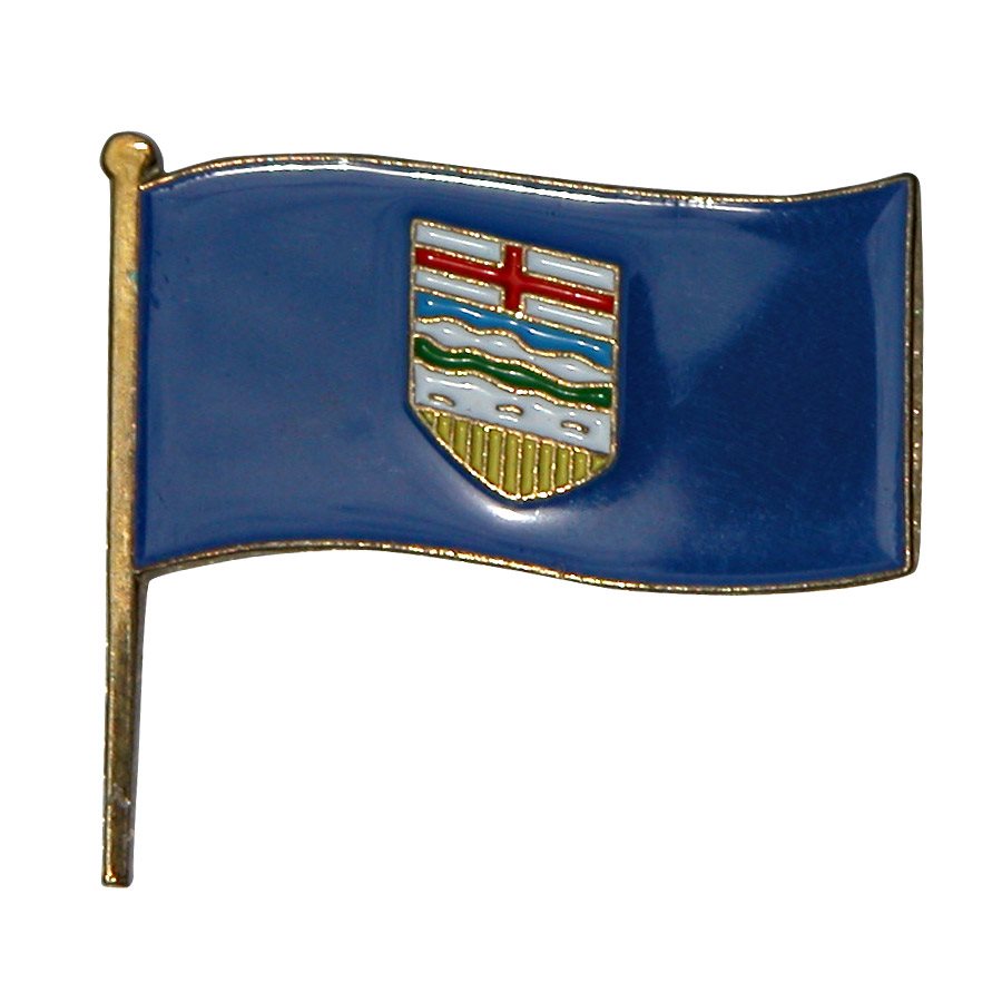 PINS